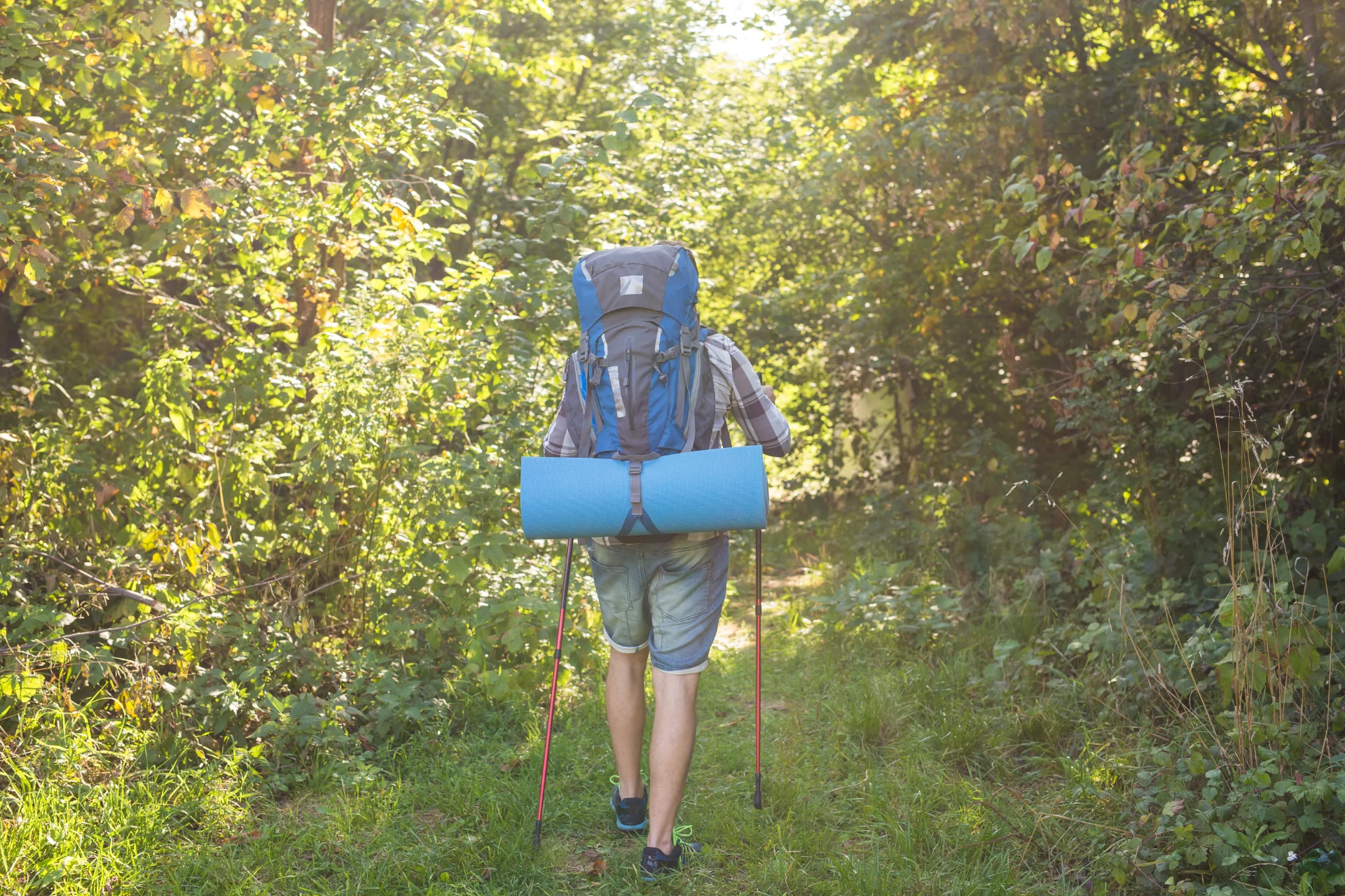 Best Seasons for Backpacking: Weather Timing Guide | Camping Hacks ...