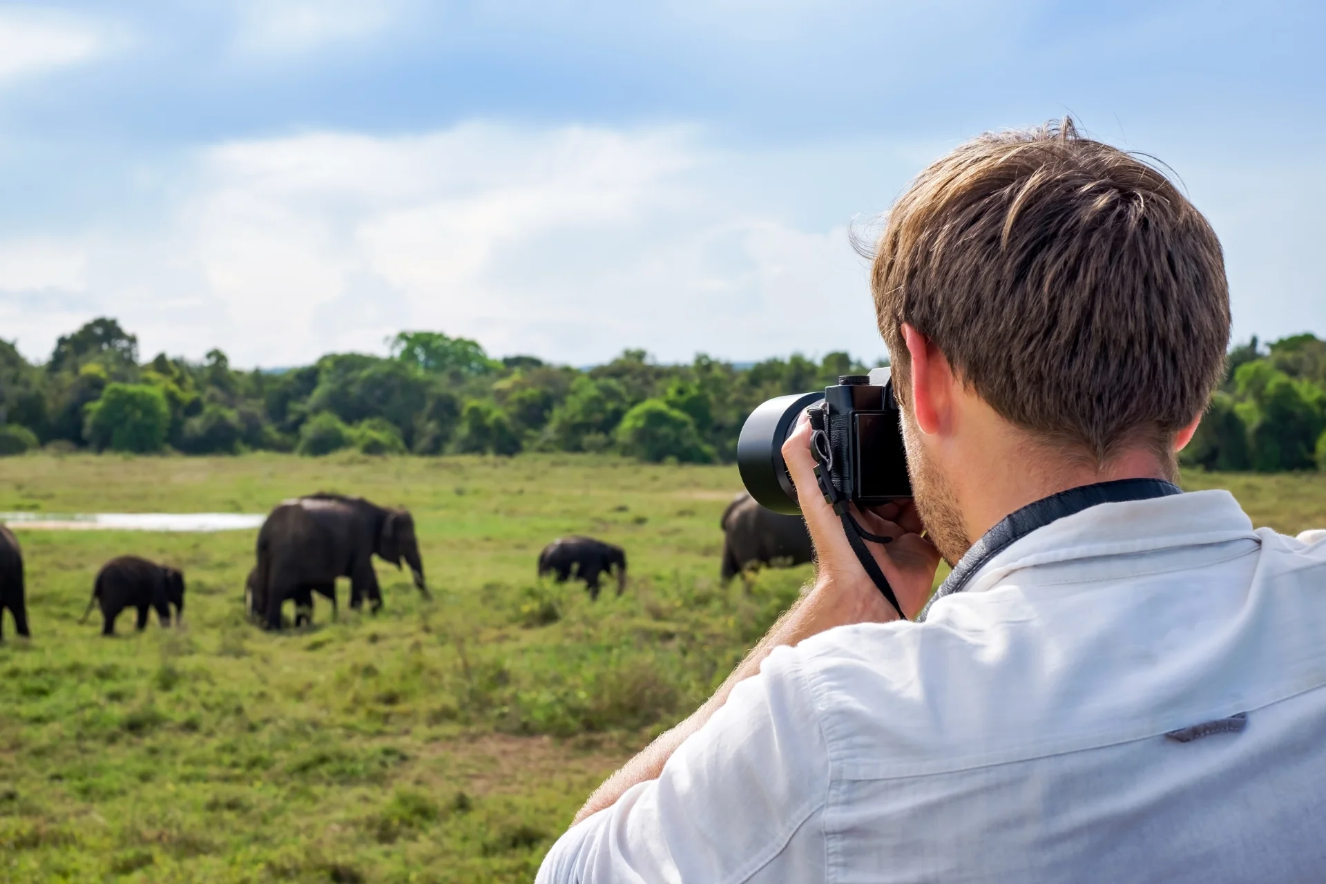 Safely Observing and Photographing Wildlife in Their Natural Habitat ...